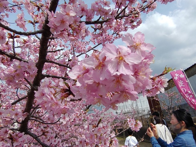 動画もアップできる？: さっちょさんのパン工房